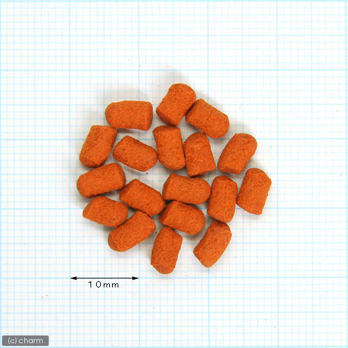 Tetra Reptomin Super (テトラレプトミン Super ) Floating Turtle Food 310g